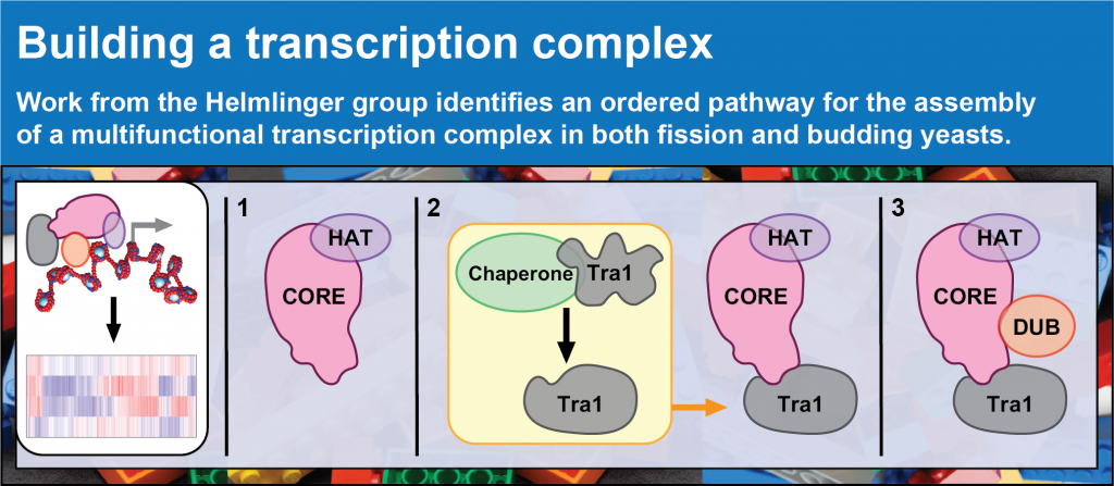 Montpellier Cell Biology Research Center - CRBM