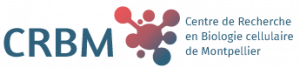 Accueil - CRBM
