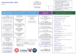 Organigramme - CRBM