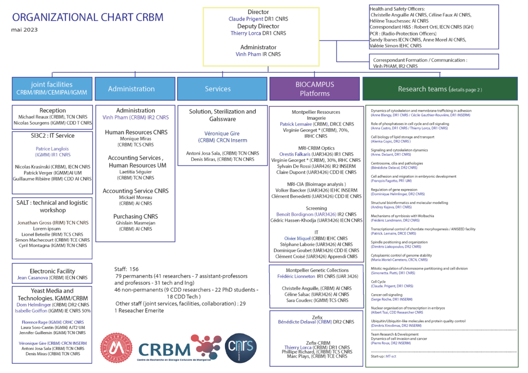Chart - CRBM