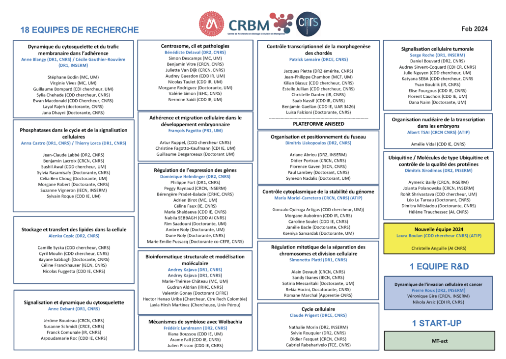 Organigramme - CRBM